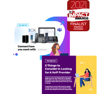 Wholesale VoIP - Hosted Network